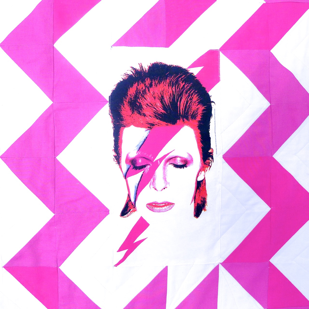 ziggy stardust – ritacor